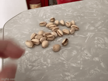 The nut got away?? - Imgflip