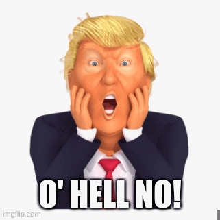 Animated GIF - Imgflip