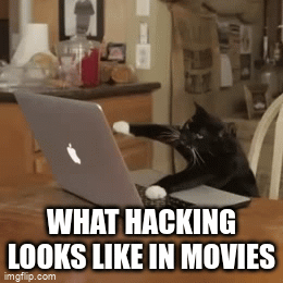 Hacker cat - Imgflip