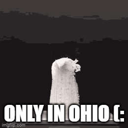 ONLY IN OHIO (: - Imgflip