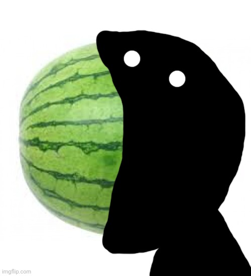 melon - Imgflip