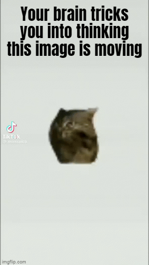 Imgflip