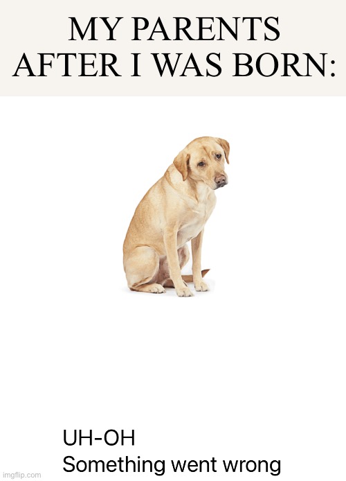 Uh-Oh Doggie - Imgflip