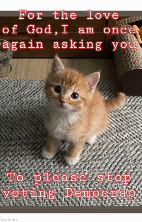 Do it for Kitty's sake - Imgflip