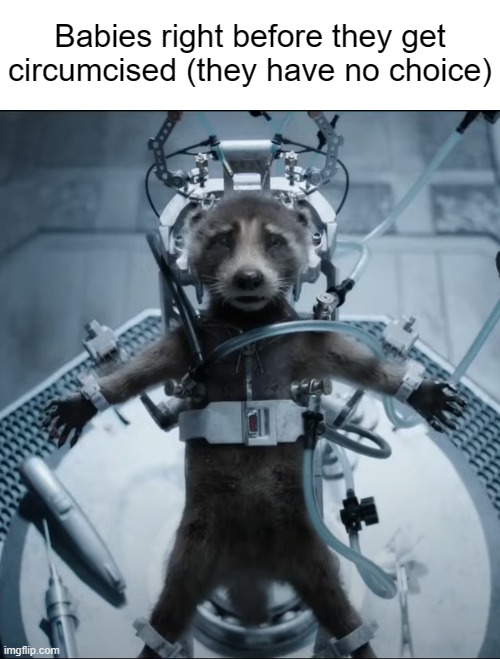 Stole this. - Imgflip