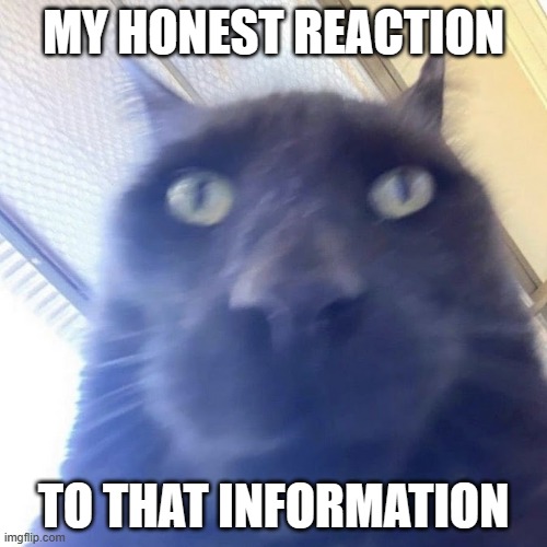 My Honest Reaction To That Information Imgflip