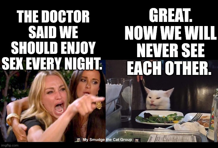 Image tagged in smudge the cat - Imgflip