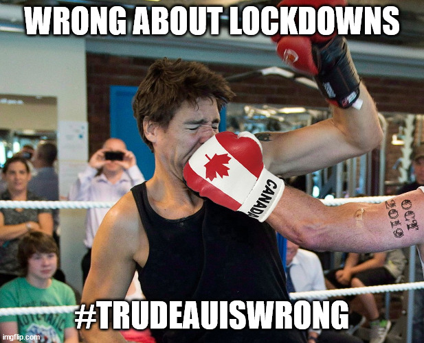 Trudeau Face Punch - Imgflip