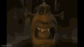 Even 1996 Shrek has the light skin stare - Imgflip