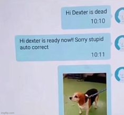 i bet the owner had a fucking heart attack - Imgflip