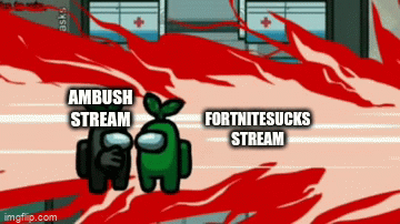 We are gonna raid our first stream - Imgflip