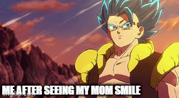 wholesome is it? - Imgflip