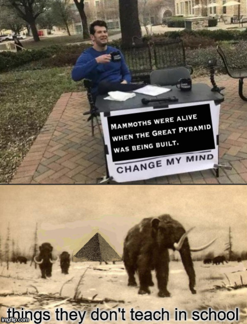 ignorance is blistering - Imgflip