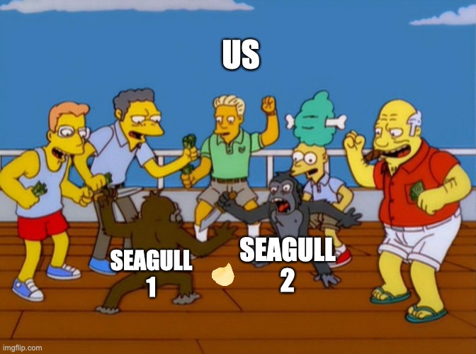 I'm betting on the speckled one to win - Imgflip