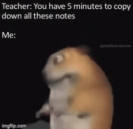 Animated GIF - Imgflip
