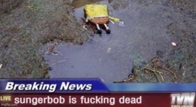 ngaw sprnglbop is ded - Imgflip