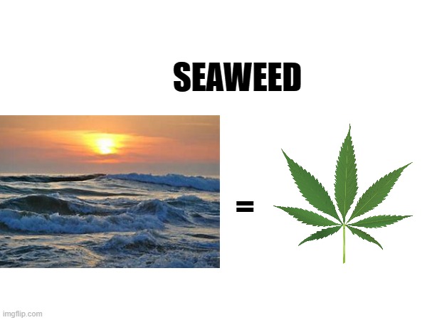 A simple comparison - Imgflip