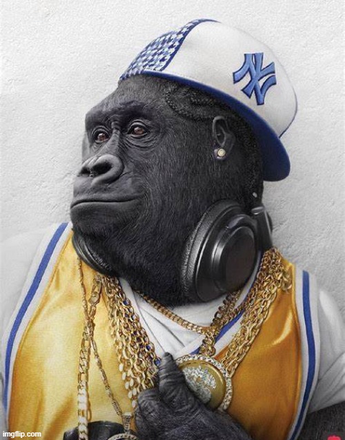 rapper monkey - Imgflip