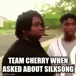 Team cherry - Imgflip