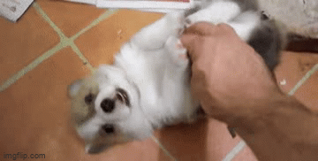 Tickle tickle - Imgflip