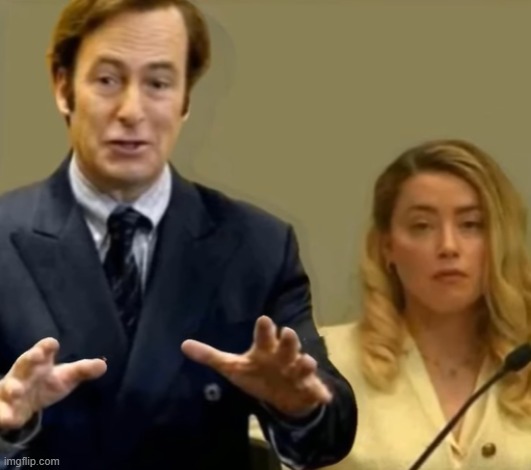 "Your honor, my client did not shit on the bed, she is shit" - Imgflip