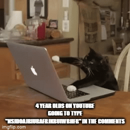 Typing kitty - Imgflip