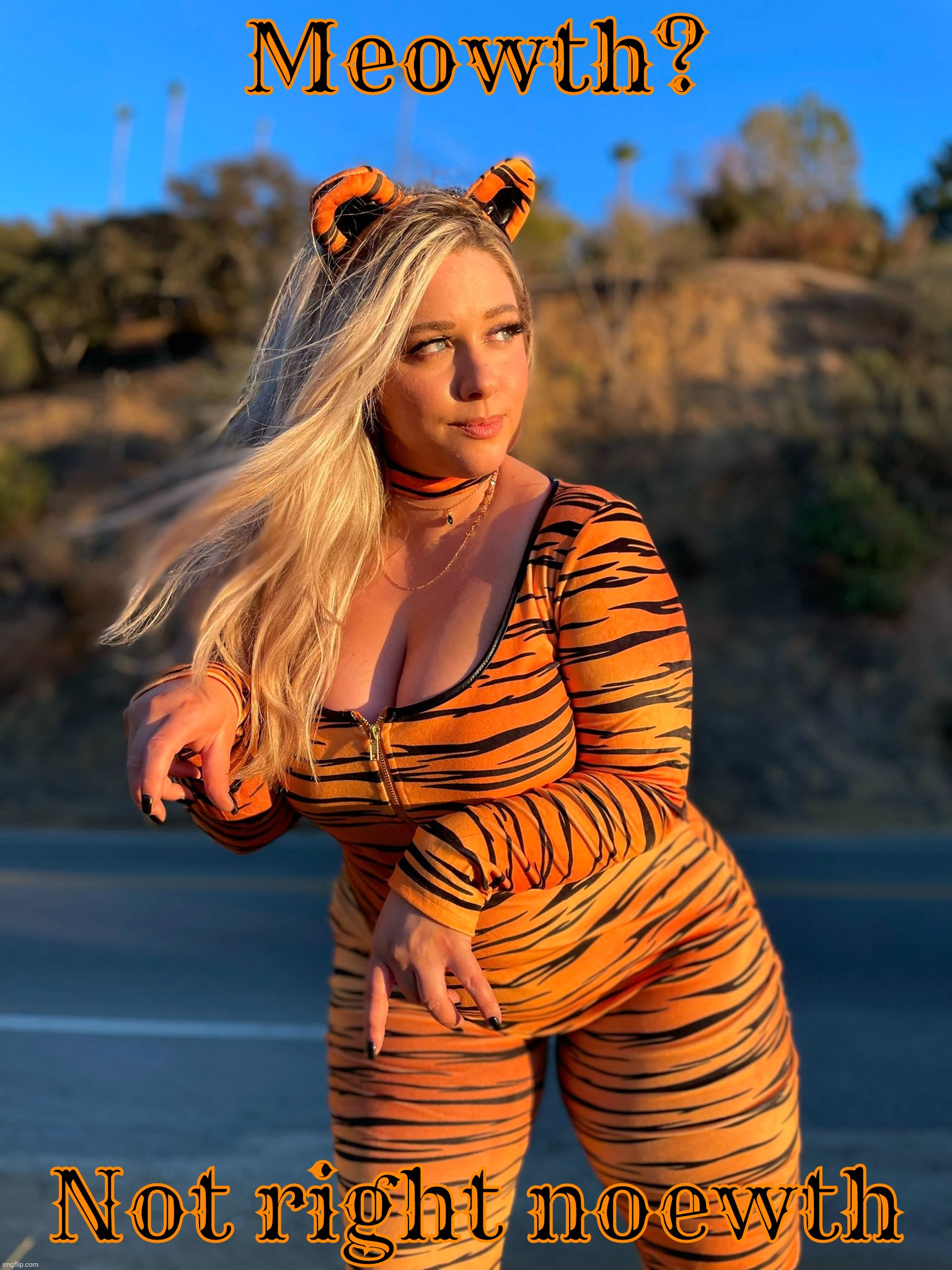 Ellana Bryan is not a lion,.., - Imgflip