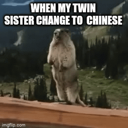 Screaming gopher - Imgflip