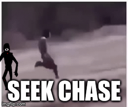 Seek chase - Imgflip