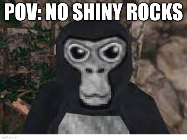 no shiny rocks - Imgflip