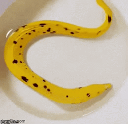 moving banana - Imgflip