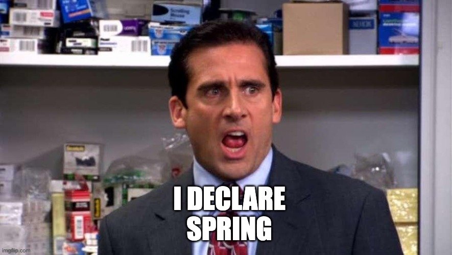 declare bankruptcy michael scott - Imgflip