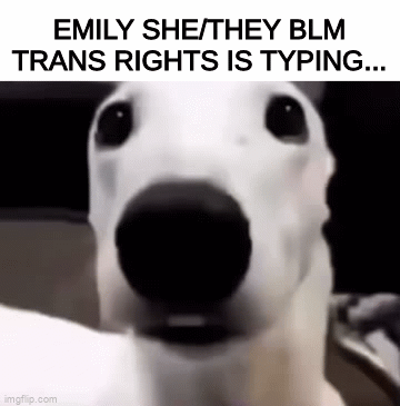 Dog Typing Gif