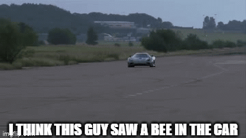 "ahh! a bee!" - Imgflip