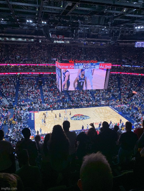 Flock around and find out | Pelicans