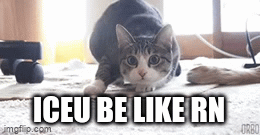 iceu - Imgflip