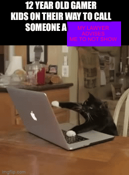 Typing kitty - Imgflip