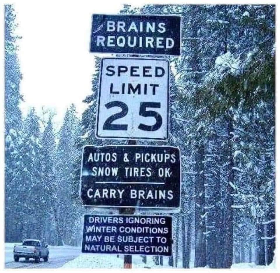 Drivers Ignoring Winter Conditions May Be Subject to Natural Selection ...