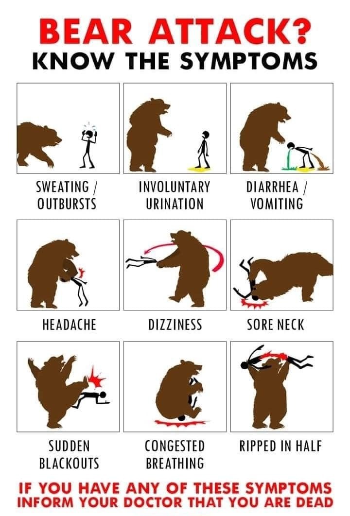 Bear Attack? Know the Symptoms. - Imgflip