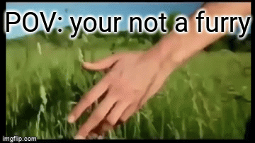Remember, no furry - Imgflip