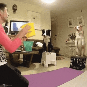 Catching the bucket - Imgflip