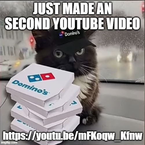 Dominos Cat - Imgflip
