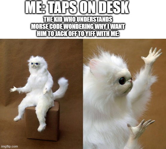 Persian Cat Room Guardian Meme - Imgflip