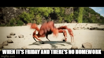 no homework on friday be like - Imgflip