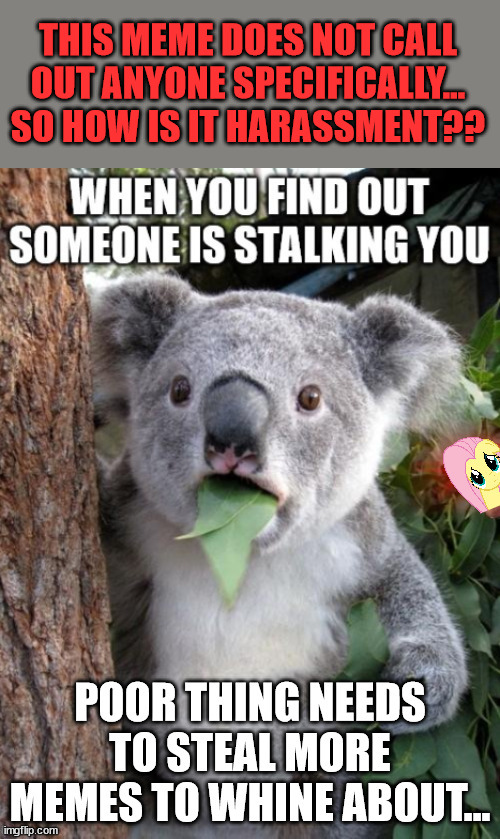 I say it's harassment to stalk conservative memers... - Imgflip