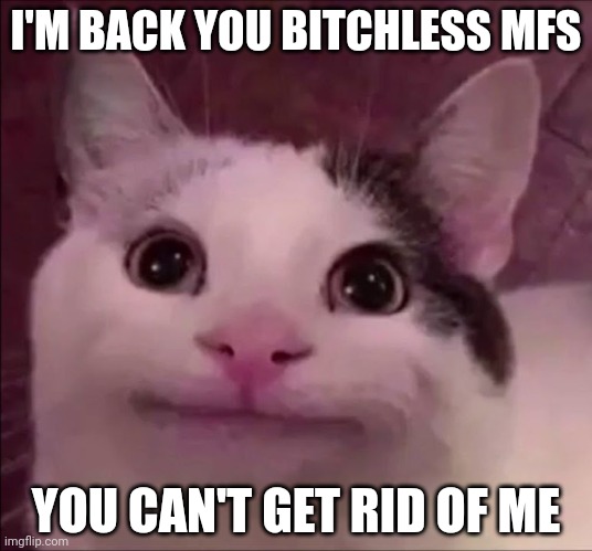 I told y'all it wouldn't stand - Imgflip