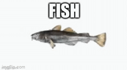 fish - Imgflip