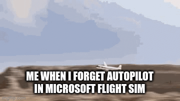 microsoft flight sim - Imgflip