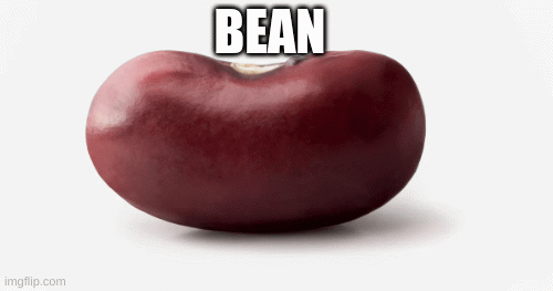 bean - Imgflip