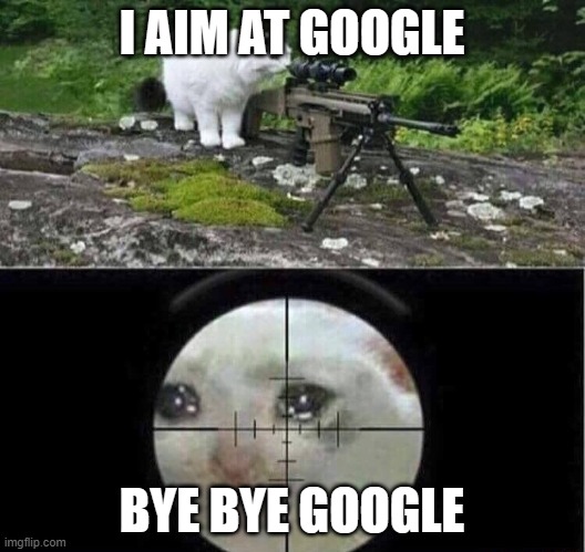 Sniper cat aim crying cat - Imgflip
